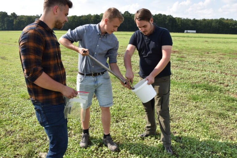 Remineralize the Earth | ZeroEx: Pioneering Enhanced Rock Weathering in ...
